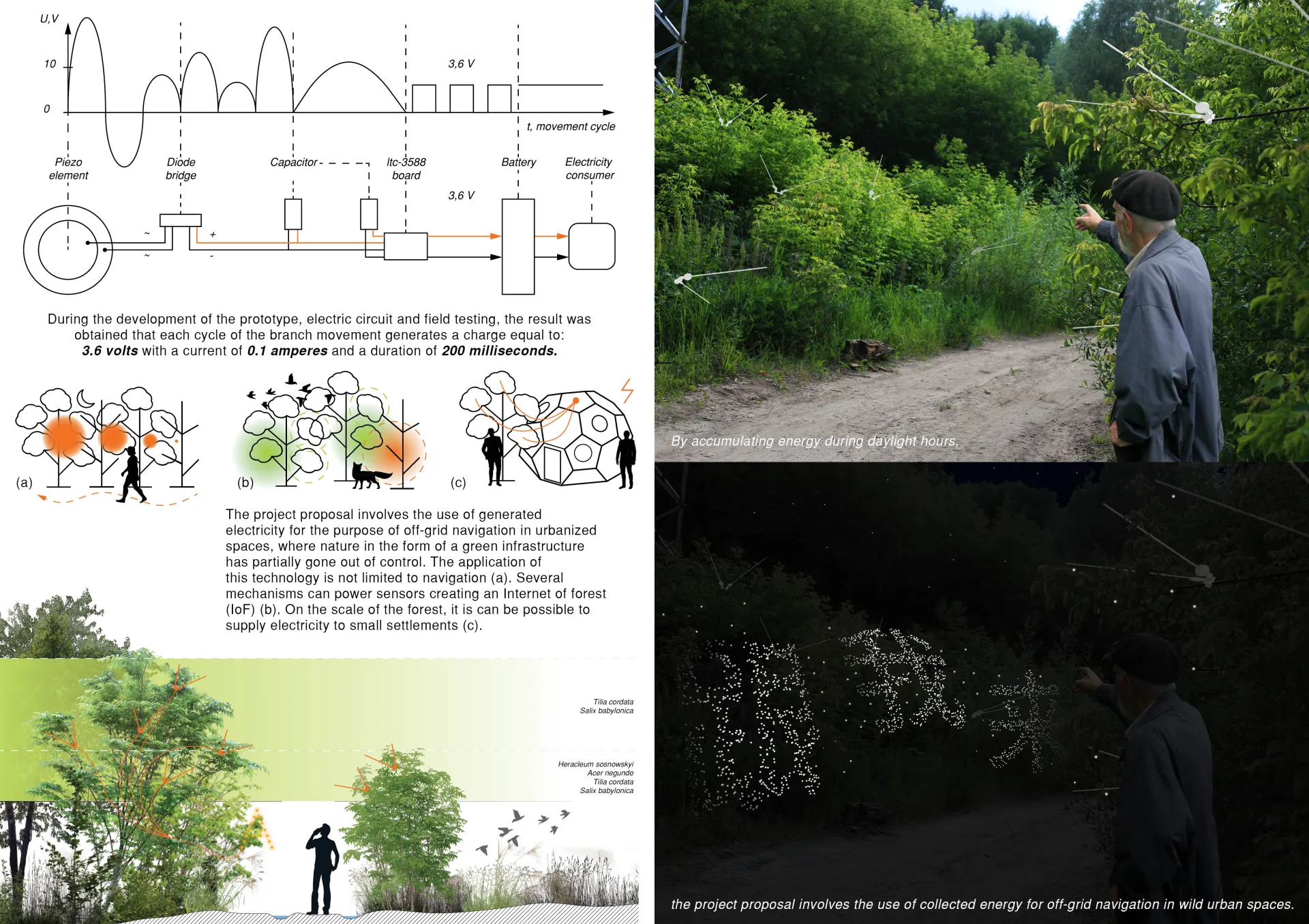 Anemokinetics: Transformation of tree branches movements into an energy ...