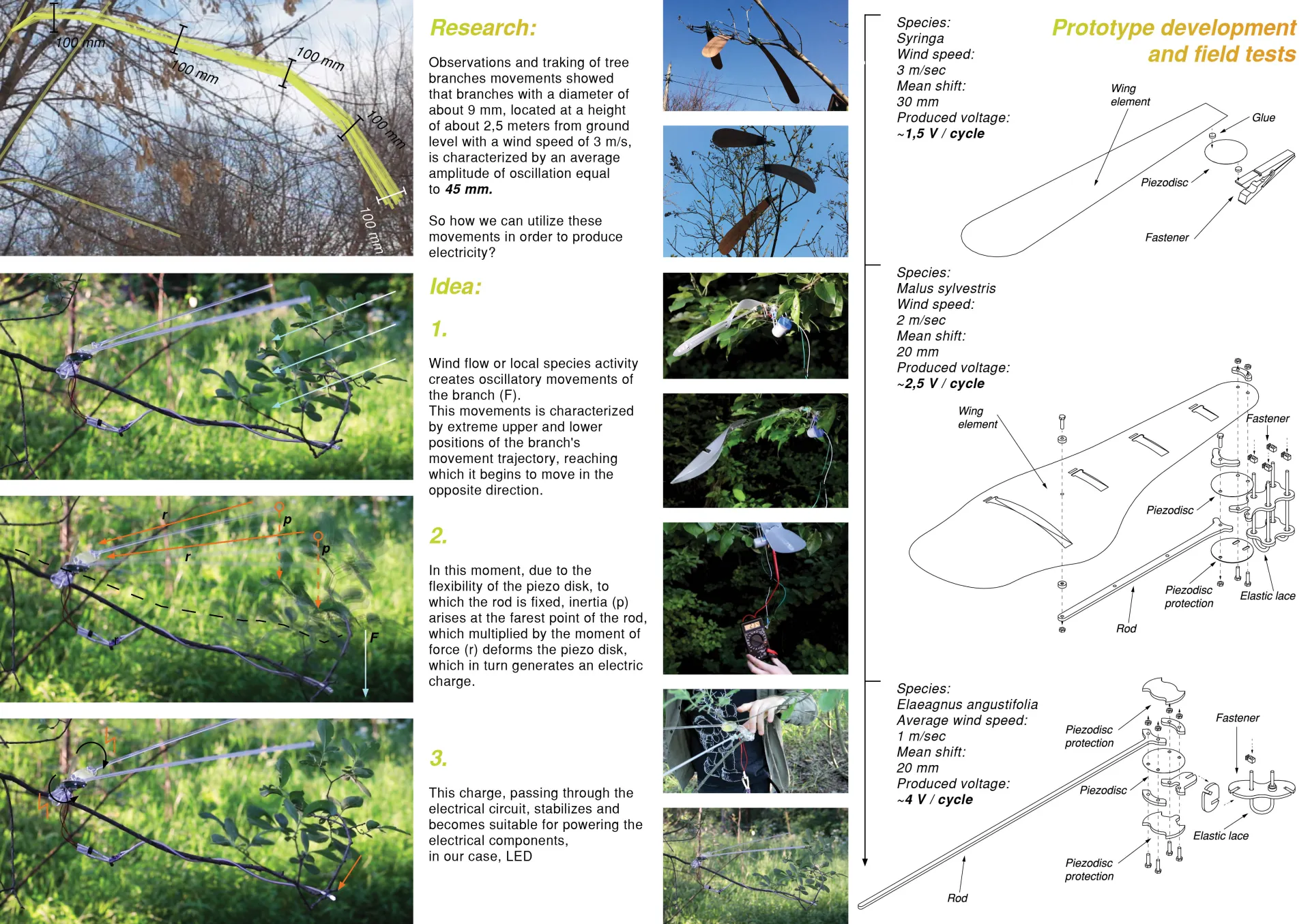 Anemokinetics: Transformation of tree branches movements into an energy ...